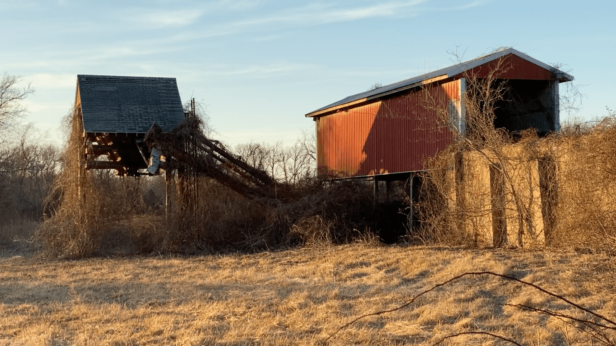 West Cape May The Lima Bean Capital of the World? - Wildwood Video Archive