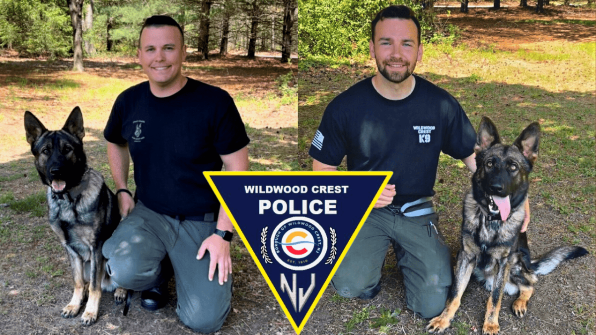 Wildwood Crest Police Introduced Their First K-9 Officers - Wildwood ...