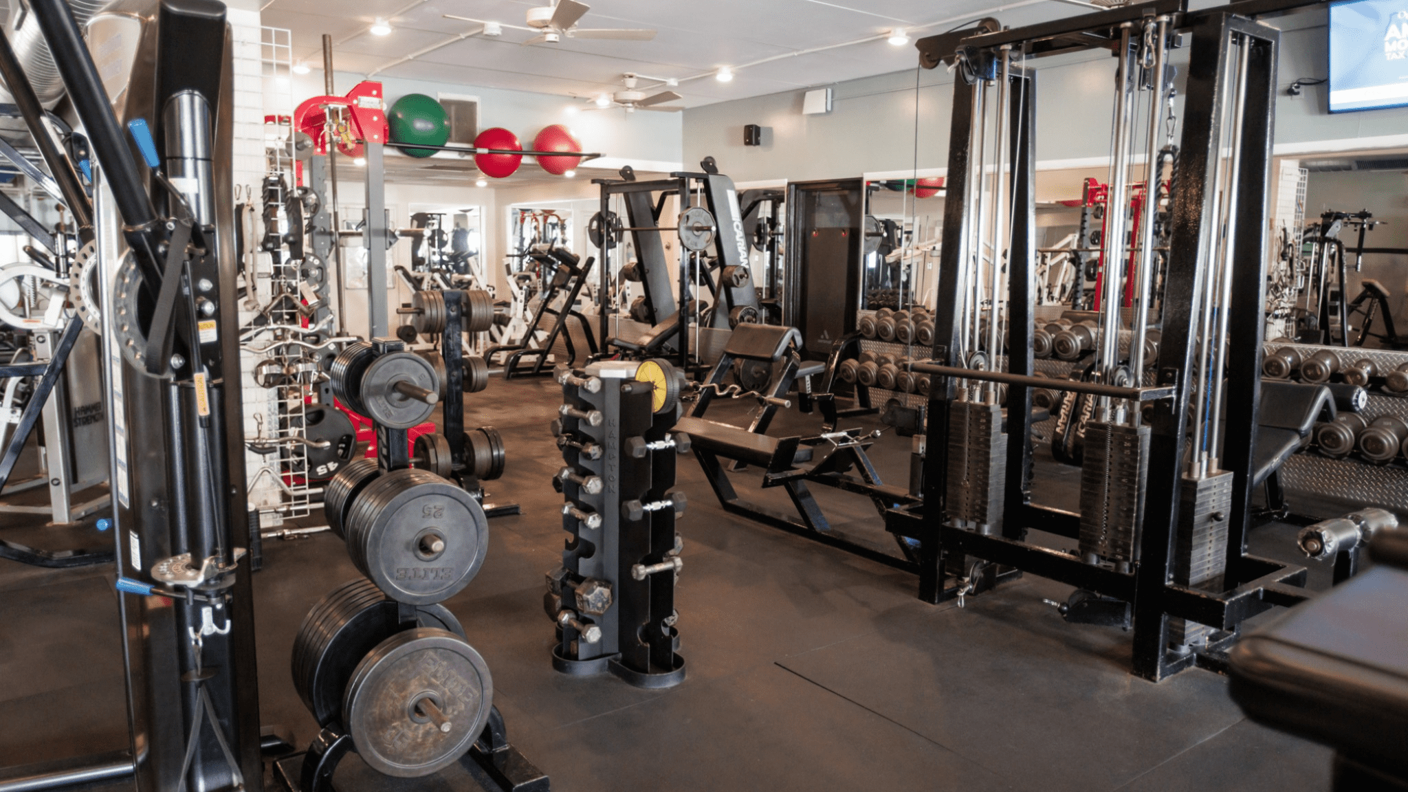 Jersey Shore Fitness Gym Unveils New Mural - Wildwood Video Archive