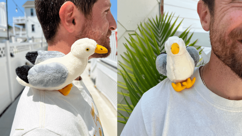 The Many Seagulls of the Wildwood Boardwalk - Wildwood Video Archive