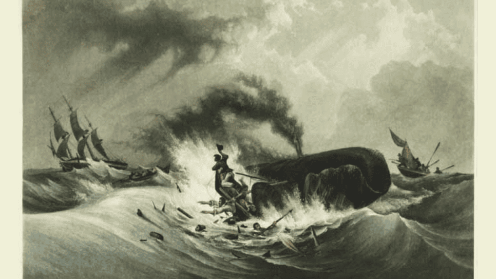 The Battle to Preserve North American Right Whales from Extinction ...