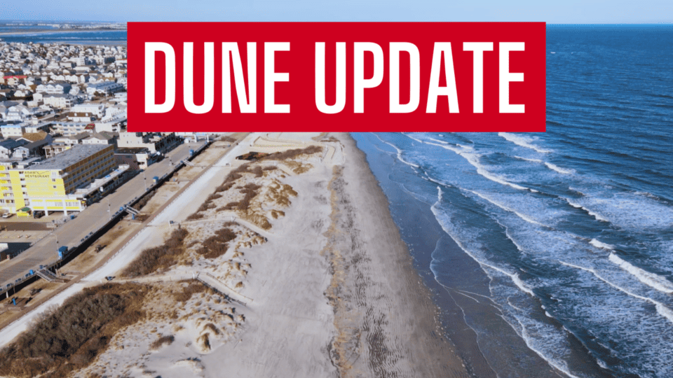 Wildwoods Dune Project Update - Wildwood Video Archive