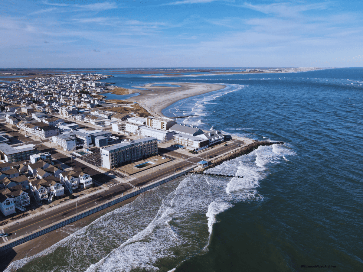 Wildwoods Dune Project Update - Wildwood Video Archive