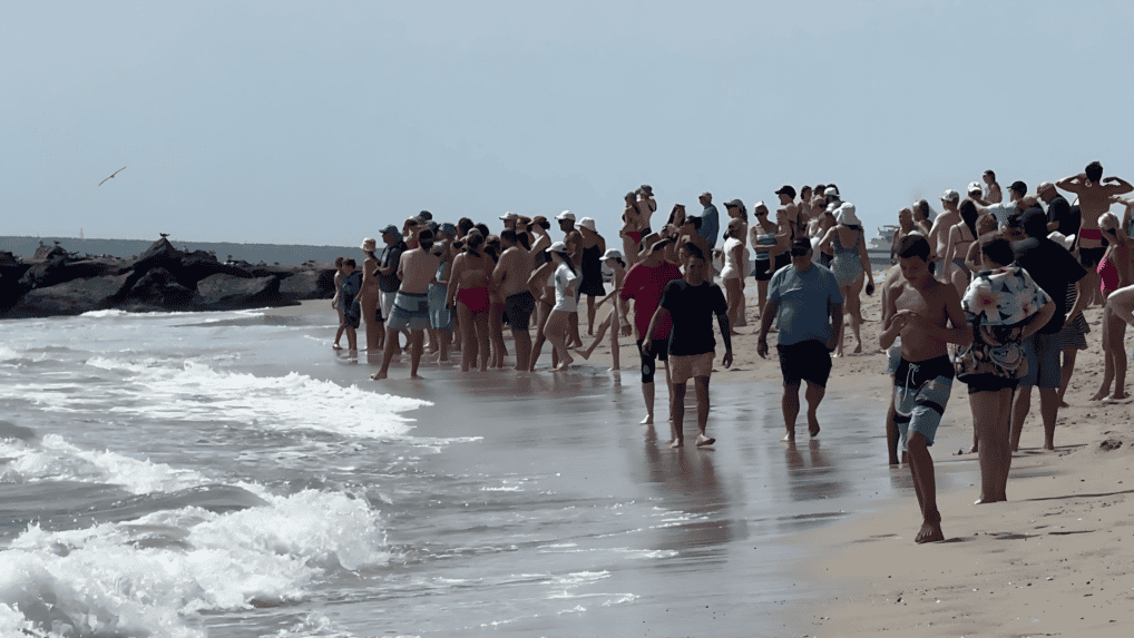Sharks Seen Off The Coast of Cape May - Wildwood Video Archive