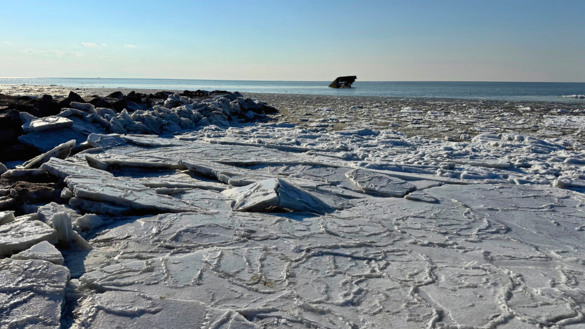 Icebergs In Cape May - Video - Wildwood Video Archive