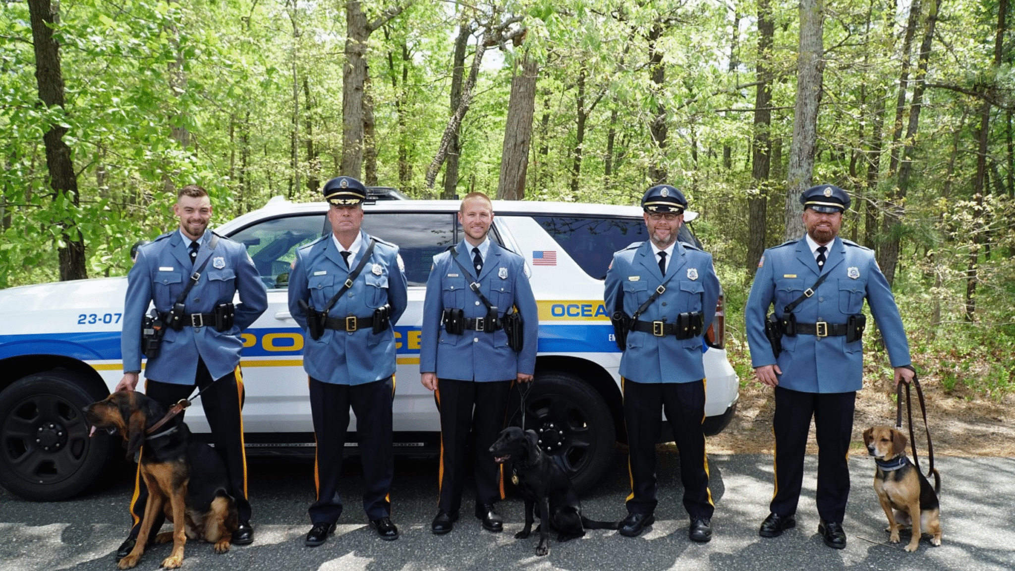 Meet the Newest Members of the Ocean City Police K-9 Unit - Wildwood ...